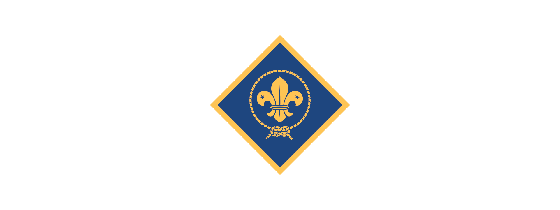 The History of ESF - European Scout Foundation
